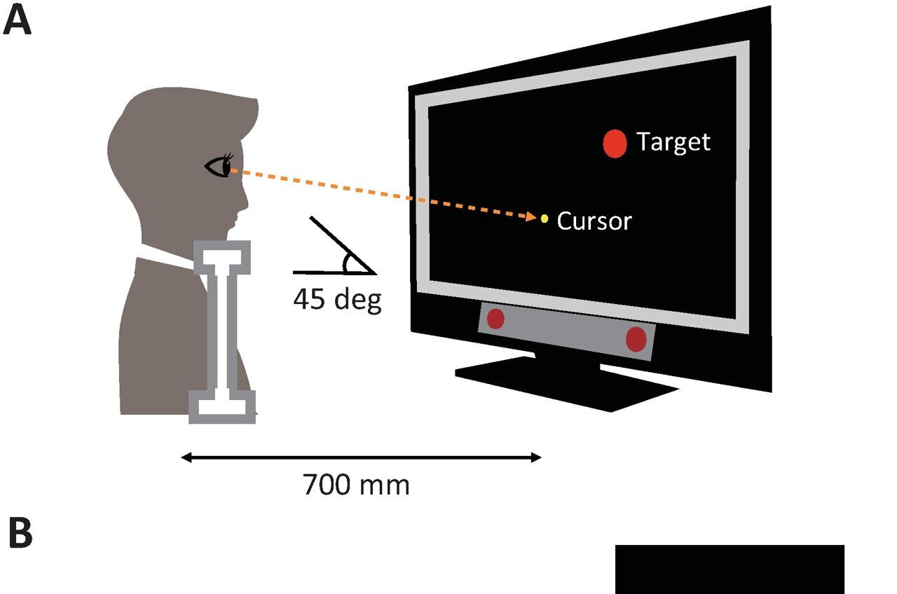 Everyday conversations can delay eye movements, essential for safe driving