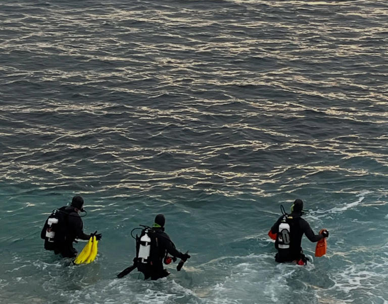 Triathlete Erica Fox's body found after 'shark attack'