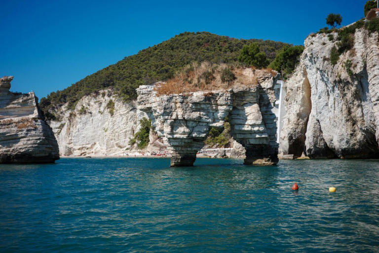 Dove la pineta incontra il mare: il Gargano secondo chi lo vive