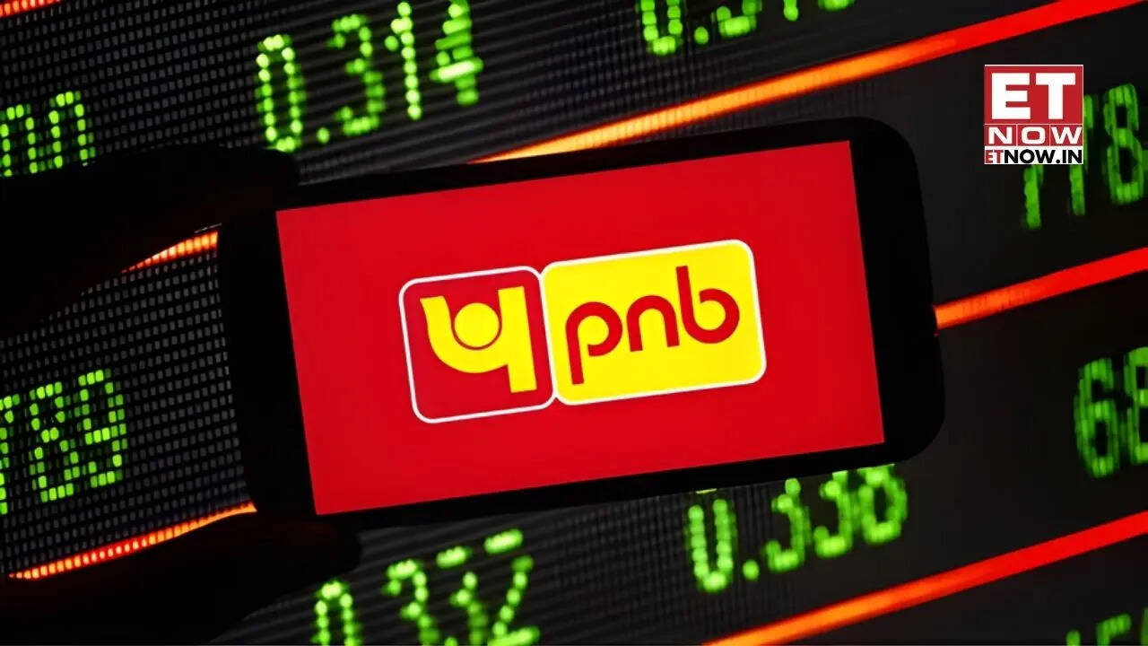 PNB share price: Stock falls 3% after Rs 2400 cr loan fraud; analyst ...