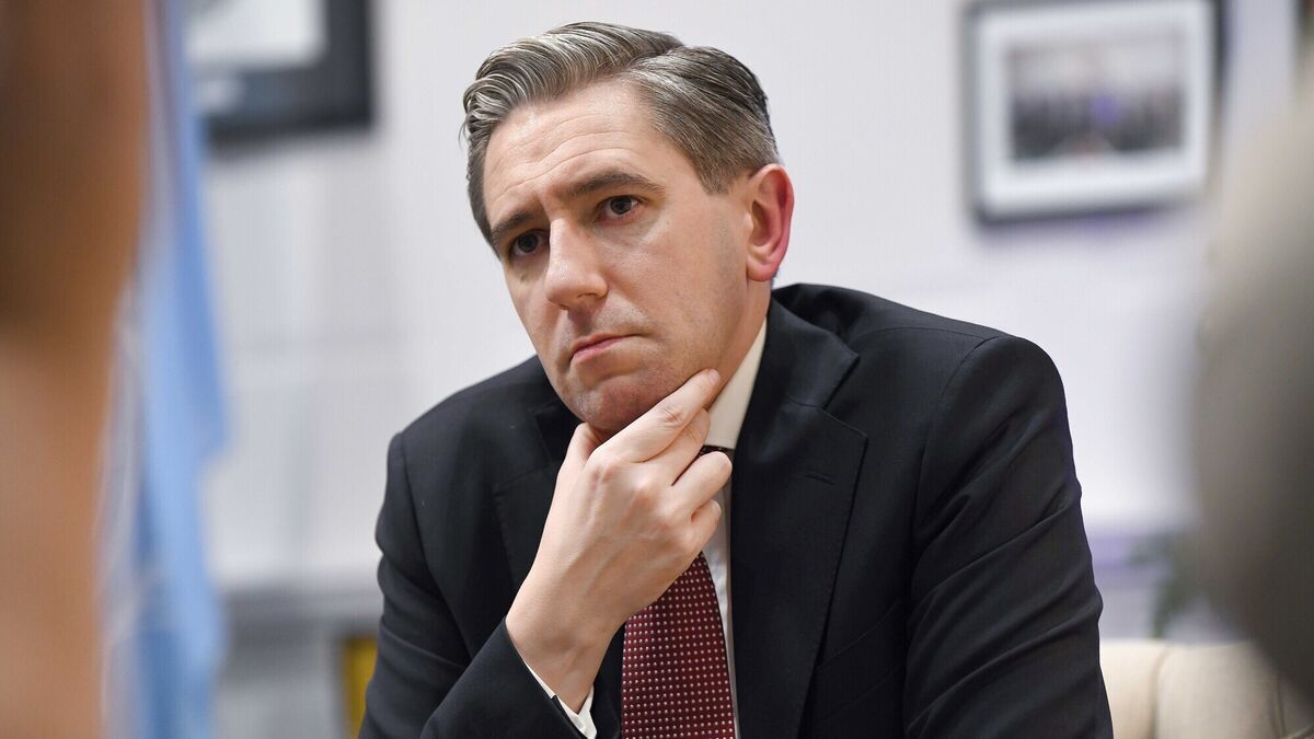 'Sensible' Simon Harris will say no to Fine Gael ministers’ budget requests