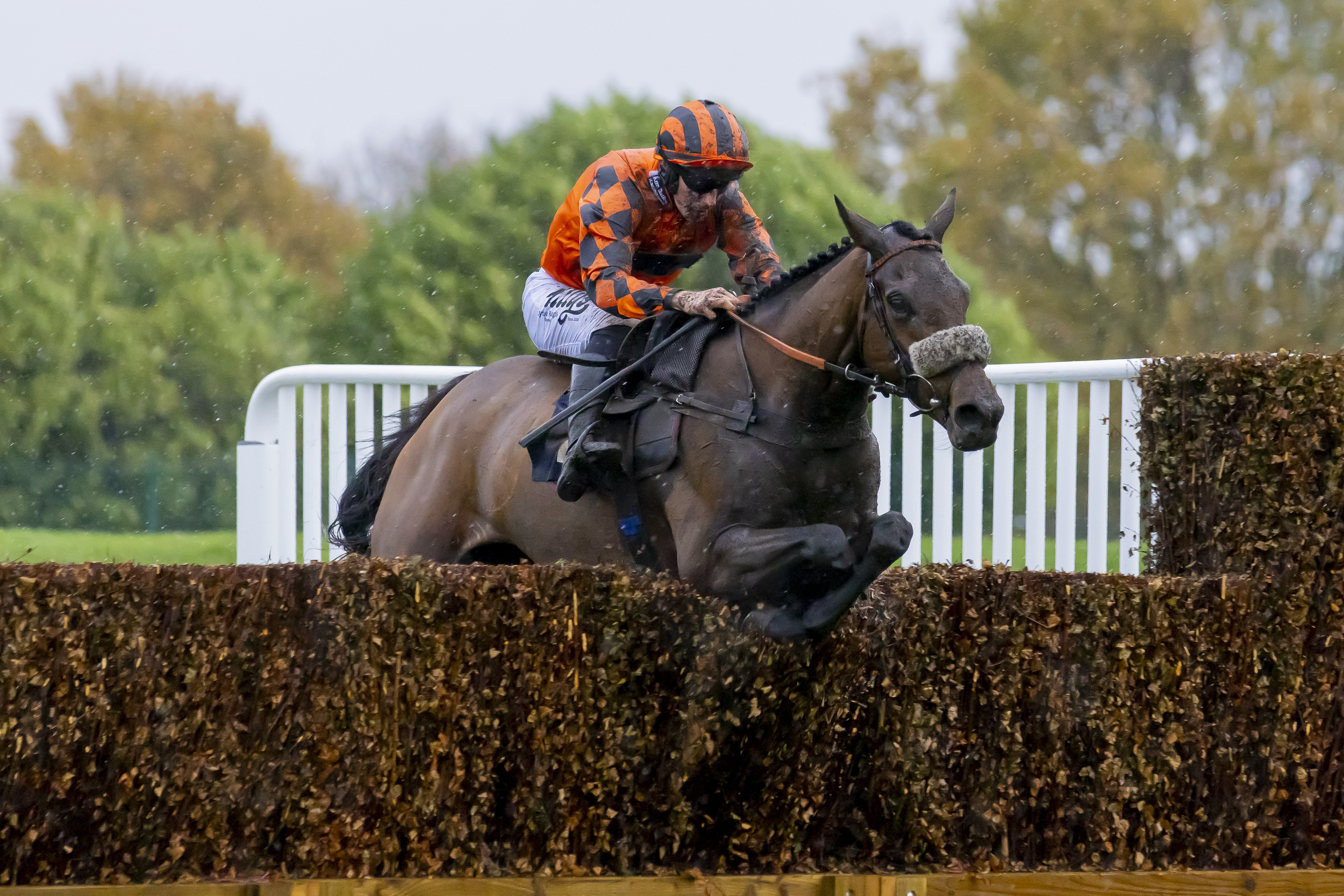 A season of jump racing fun as Doncaster Racecourse 2026 line-up revealed