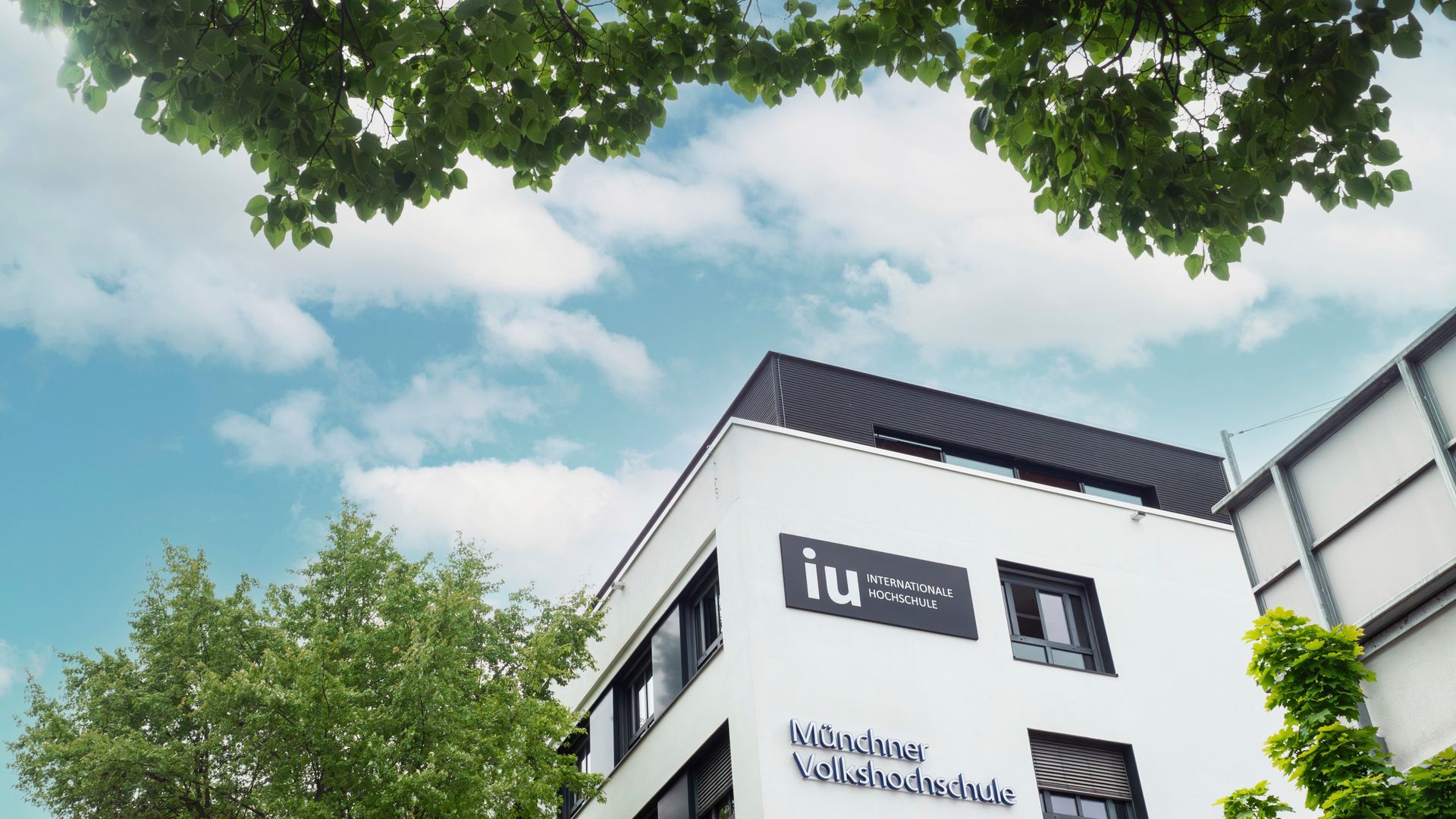 IU Internationale Hochschule: Warum Deutschlands größte Hochschule so ...