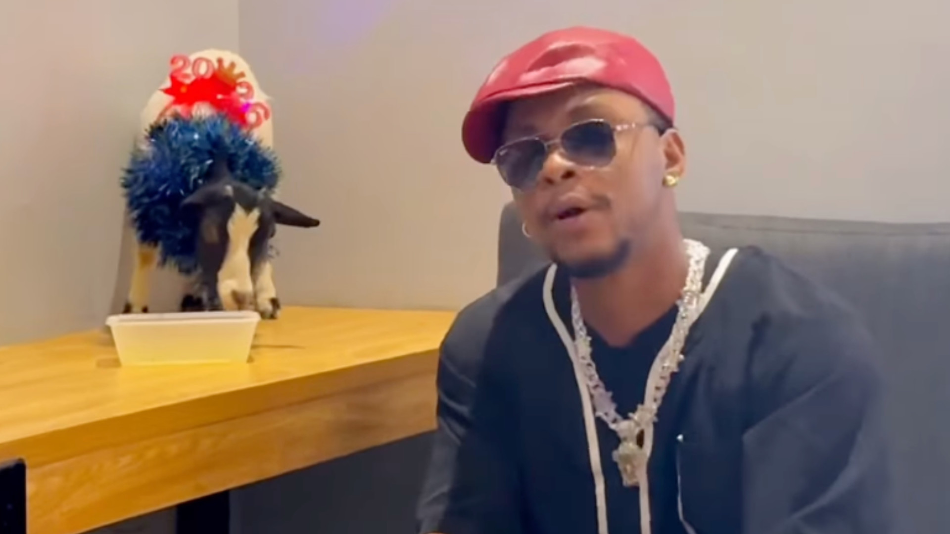 Nigerian rapper sparks animal cruelty outrage after dragging goat ...