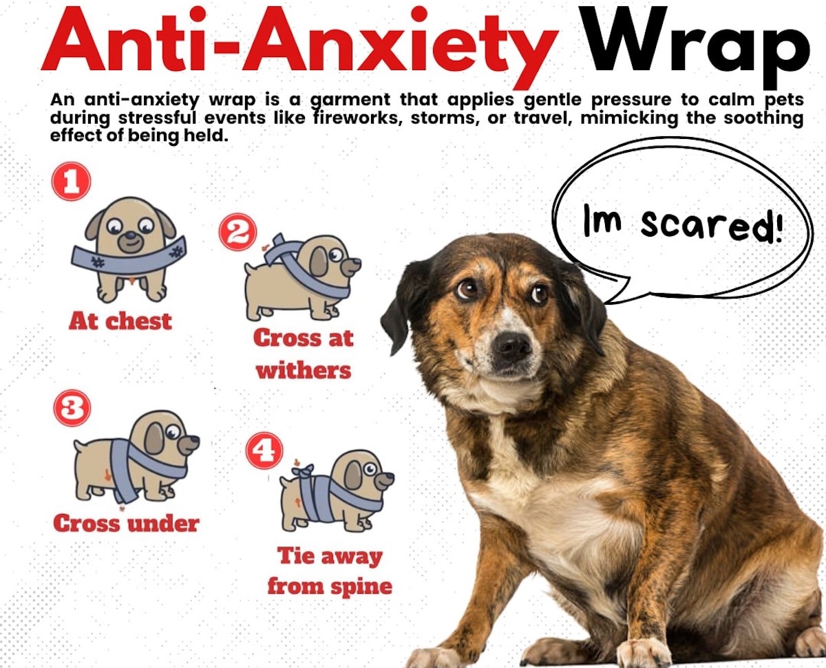 Group shares how to make anti-anxiety wrap for pets for New Year's Eve