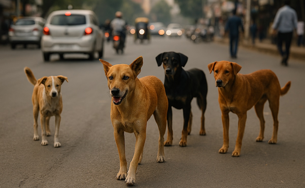 For every dog bite, we are likely to...: Big Supreme Court remark