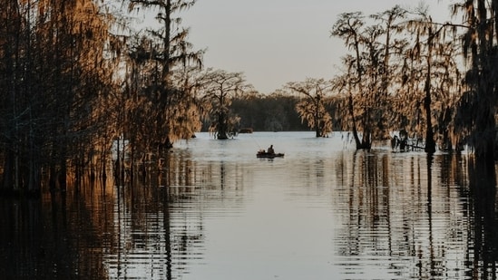 Buffalo Bayou serial killer rumors reignite conversations about Texas's ...