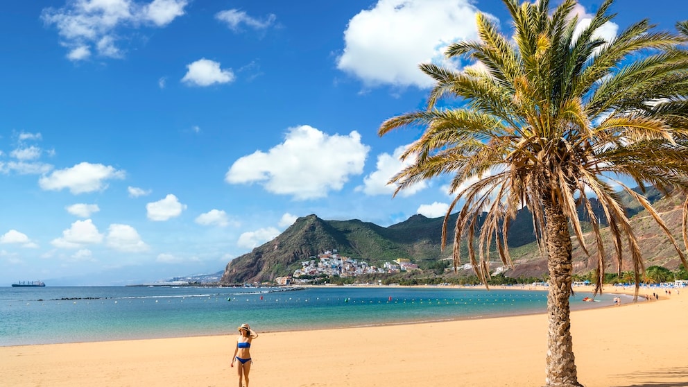 Surprising! How the Canary Islands got their name
