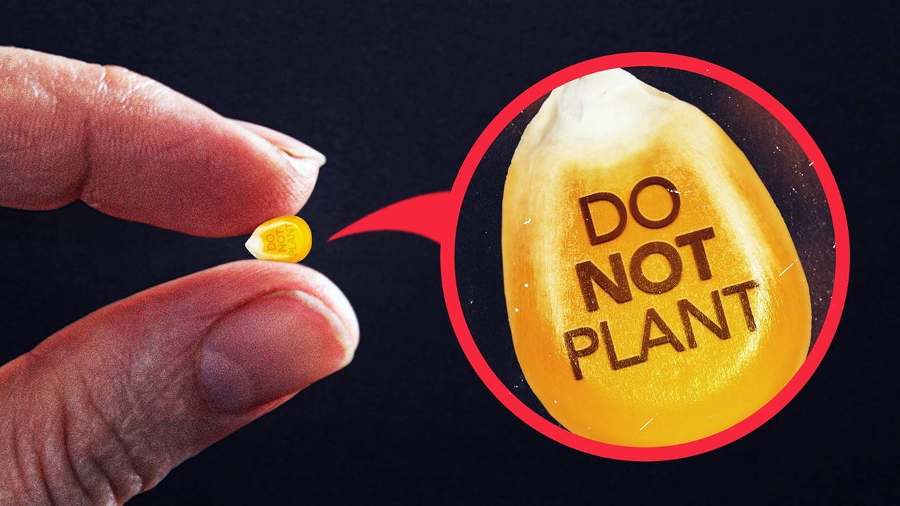 How one company made replanting illegal without changing the law