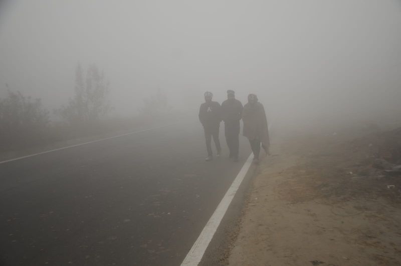 Dense fog envelops region; flights affected at Delhi airport