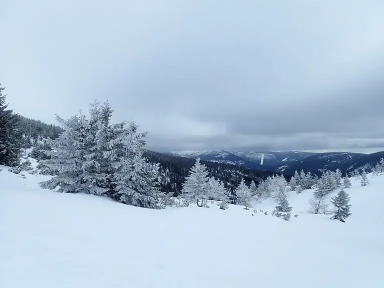 Hory v Česku zasype sníh, na Šumavě teploty klesly k minus 20 stupňům ...