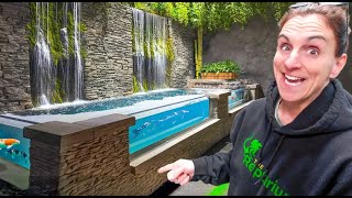 Check out my insane new weeping wall!