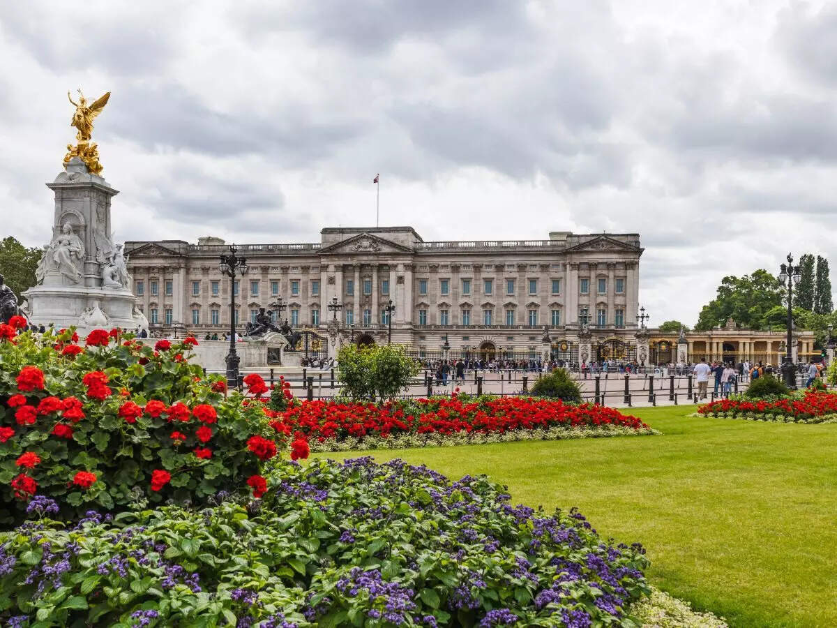 View: Buckingham Palace would be an excellent museum