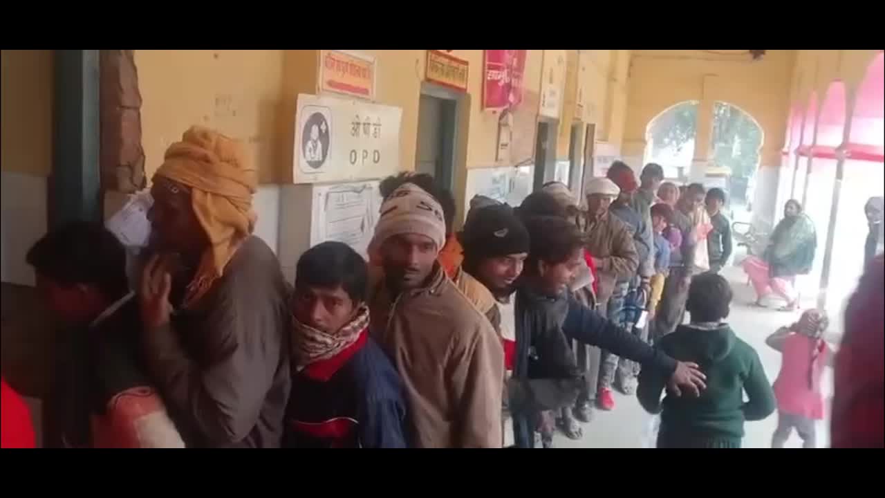 Rabies Scare in UP Village After Dog-Bitten Buffalo Dies; Villagers ...