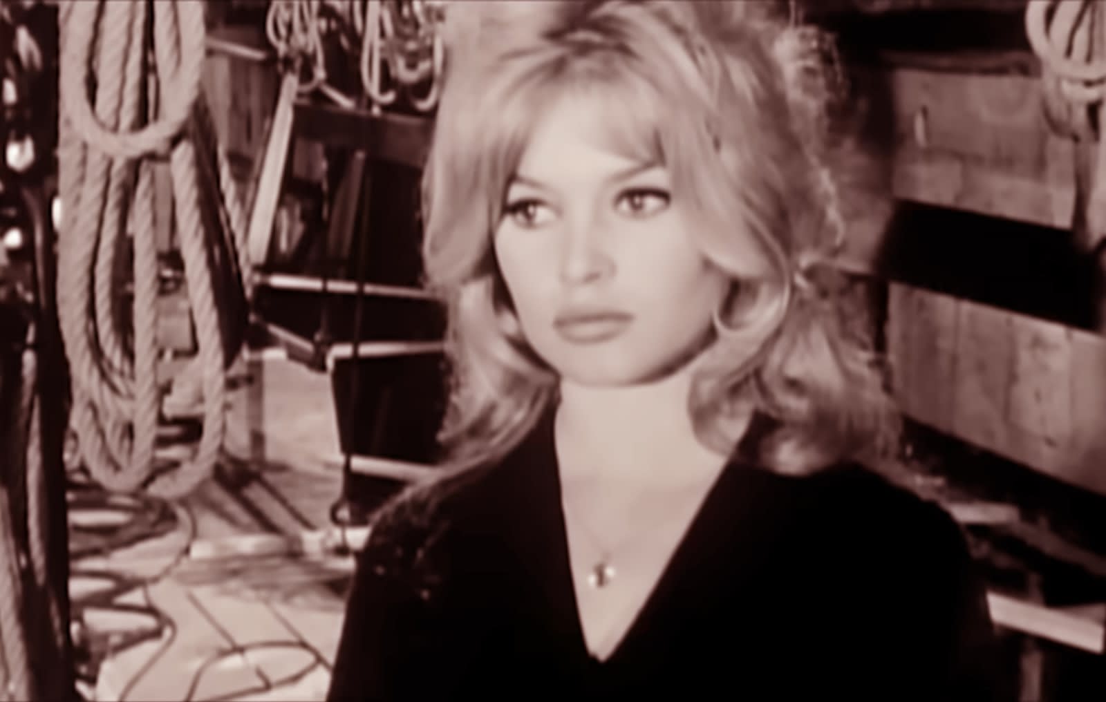 Brigitte Bardot's relationship with her son faces renewed scrutiny amid ...