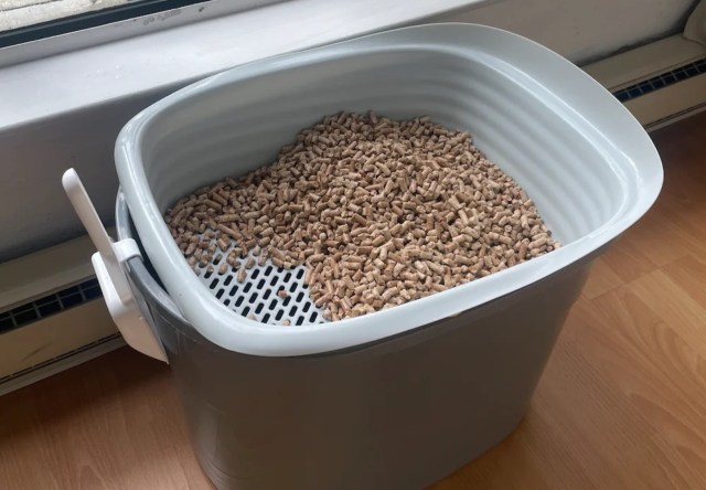 Cat owner's unusual litter box alternative surprisingly works: 'It's ...