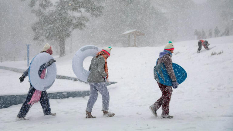 5 times Florida weather got weird in 2025