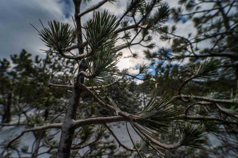 Spil Dağı beyaz gelinliğini giydi