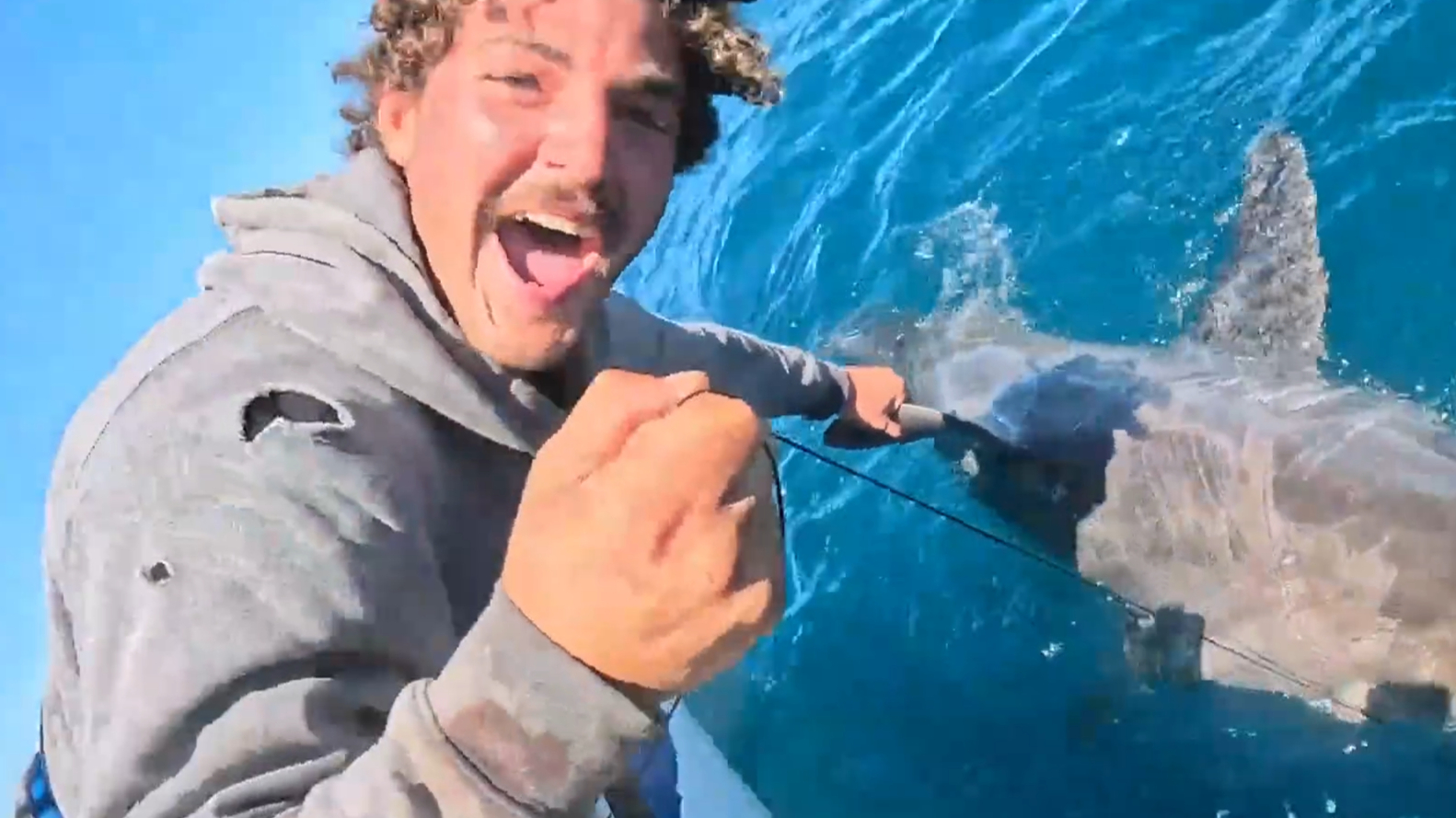 'Amazing experience' as great white shark snagged off Barwon Heads