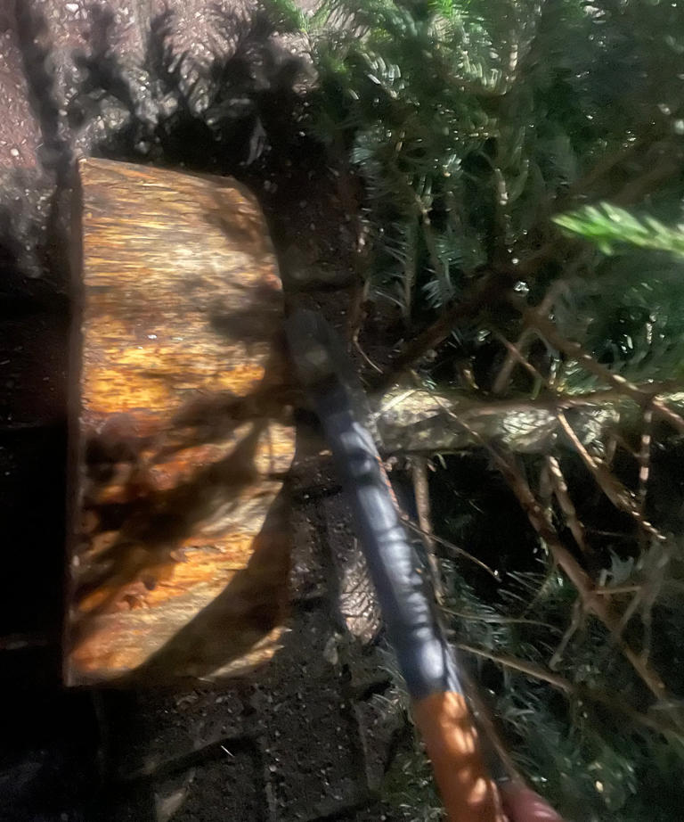 Turn your Christmas tree into firewood in 3 steps