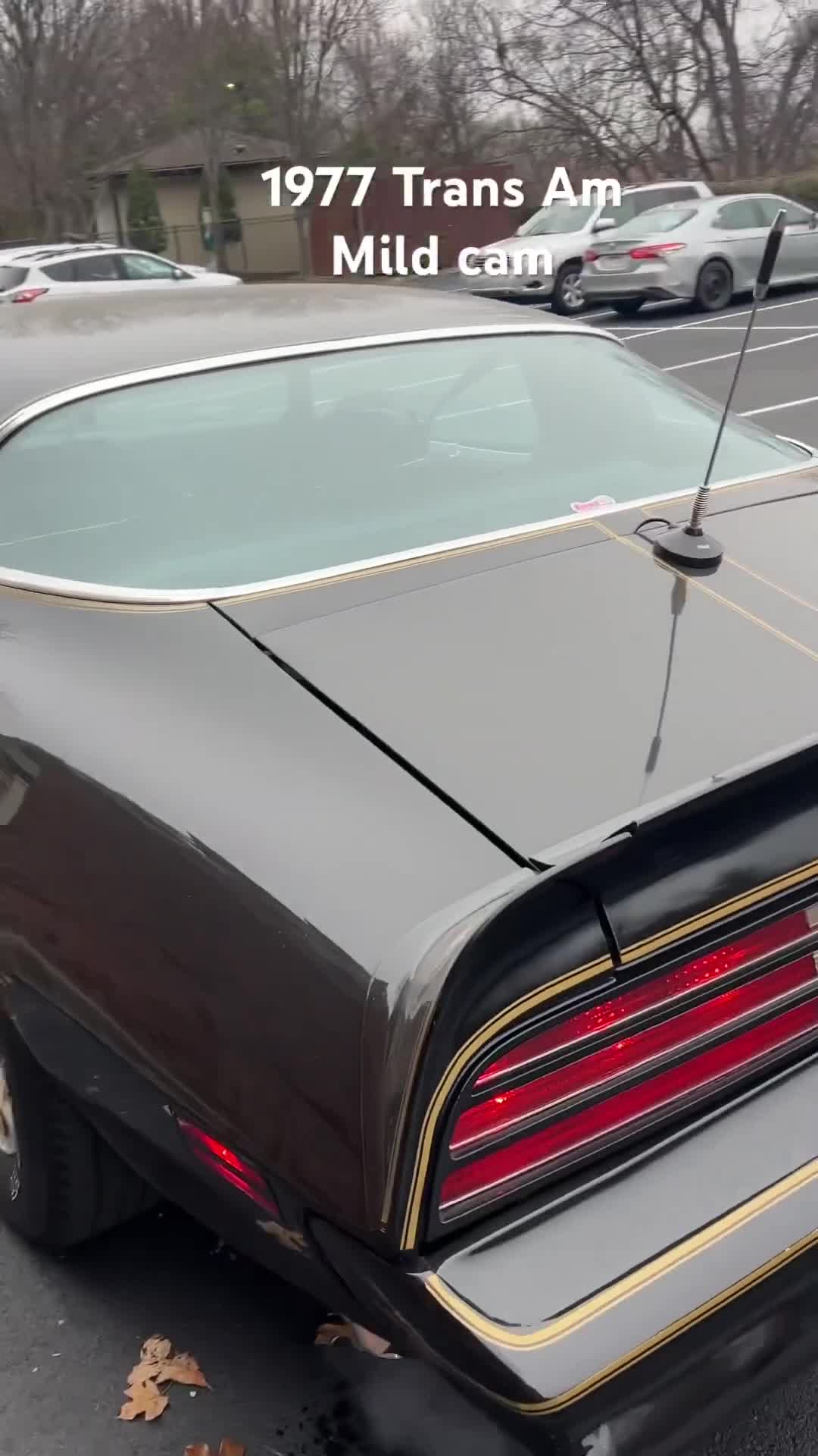 Listen to that chop 🪓🪓🪓 #transam #exhaust #exhaustsound #pontiac