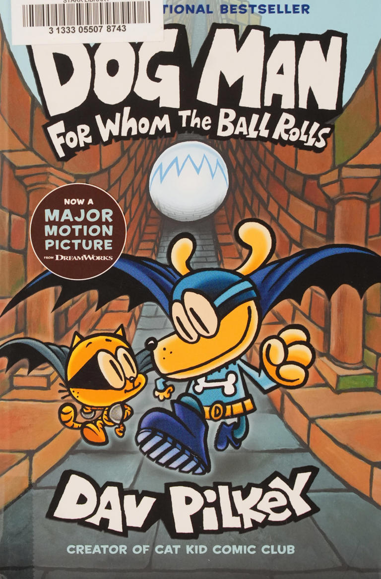 Thrillers, romance and more: Here's what Stark County read in 2025