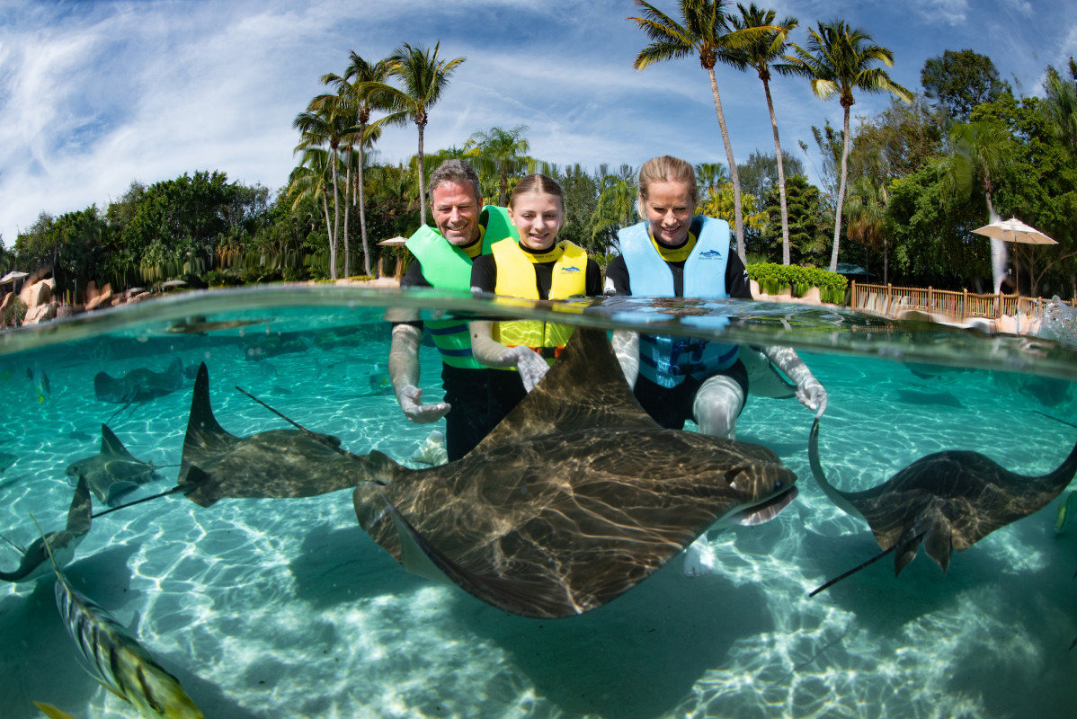 Discovery Cove just announced a rare 40% off winter sale
