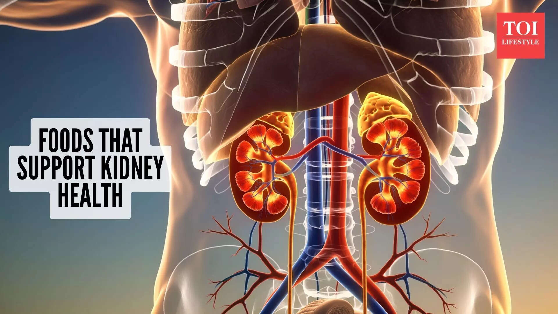 Kidney health: 5 foods that help your kidneys effectively filter out toxins