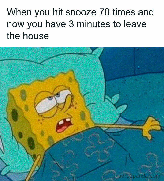69 funny memes to distract you during a boring Monday morning meeting