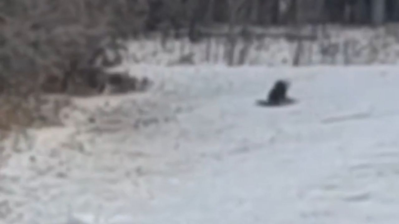 Kid ignores mom's warning and experiences a comical fail in her adventure