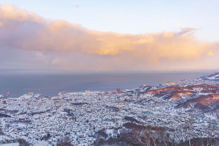 5-year-old boy dies after falling and getting arm trapped in ski resort ...