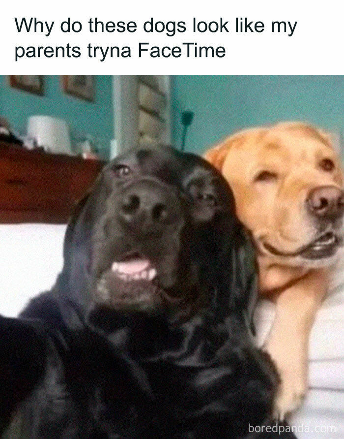 69 funny memes to distract you during a boring Monday morning meeting