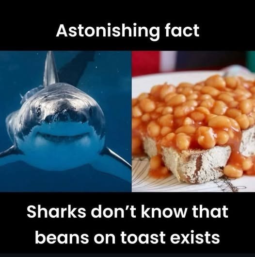 A splish-splash of 23 marine life memes for aquatic aficionados running ...