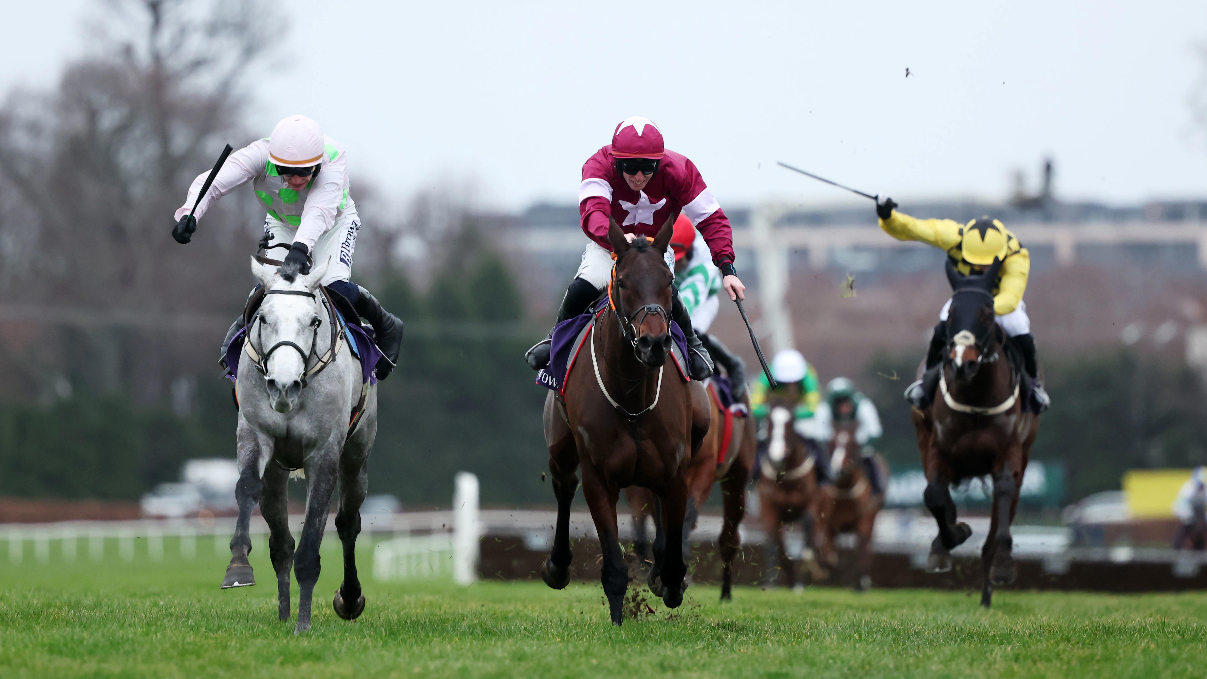 Lossiemouth fends off Brighterdaysahead in December Hurdle