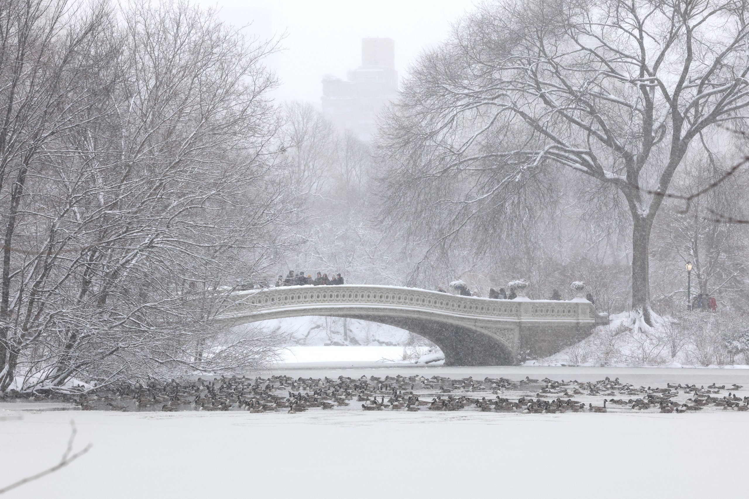Dangerous winter storm intensifies, knocks out power to over 300,000 ...