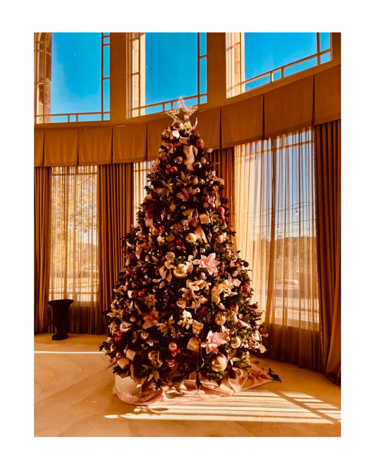 Britney Spears roasts ‘innocent’ family in sarcastic Christmas post ...