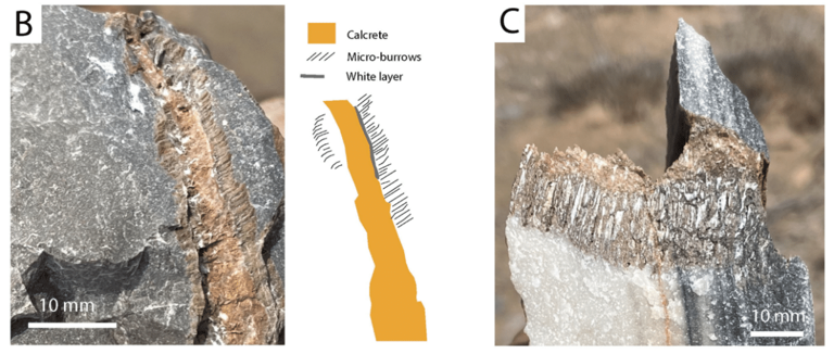 Geologists discover mysterious tunnels in rock that suggest the ...