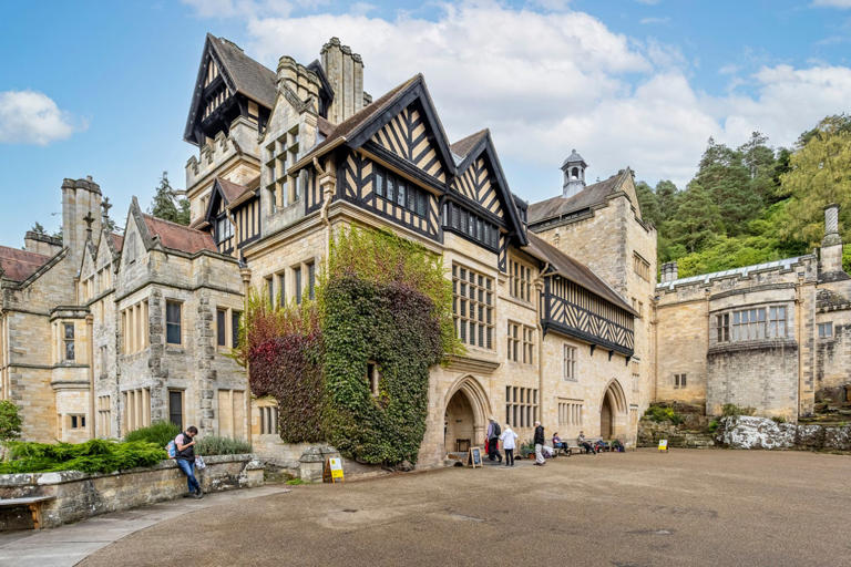Visitors turned away from record-breaking Christmas tree