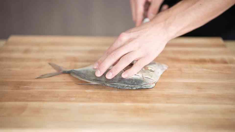 This rare fish sushi experiment tests skill, not comfort