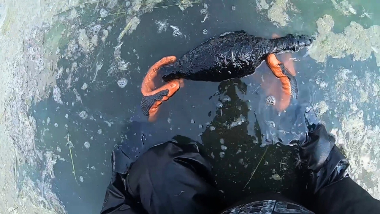 Exploring a German WWII stronghold from forest camps to hidden water finds