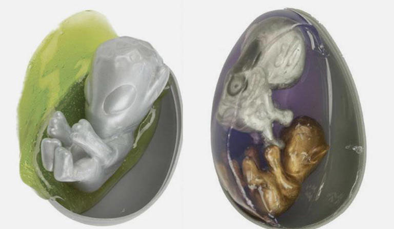 20 things every 2000s baby will remember