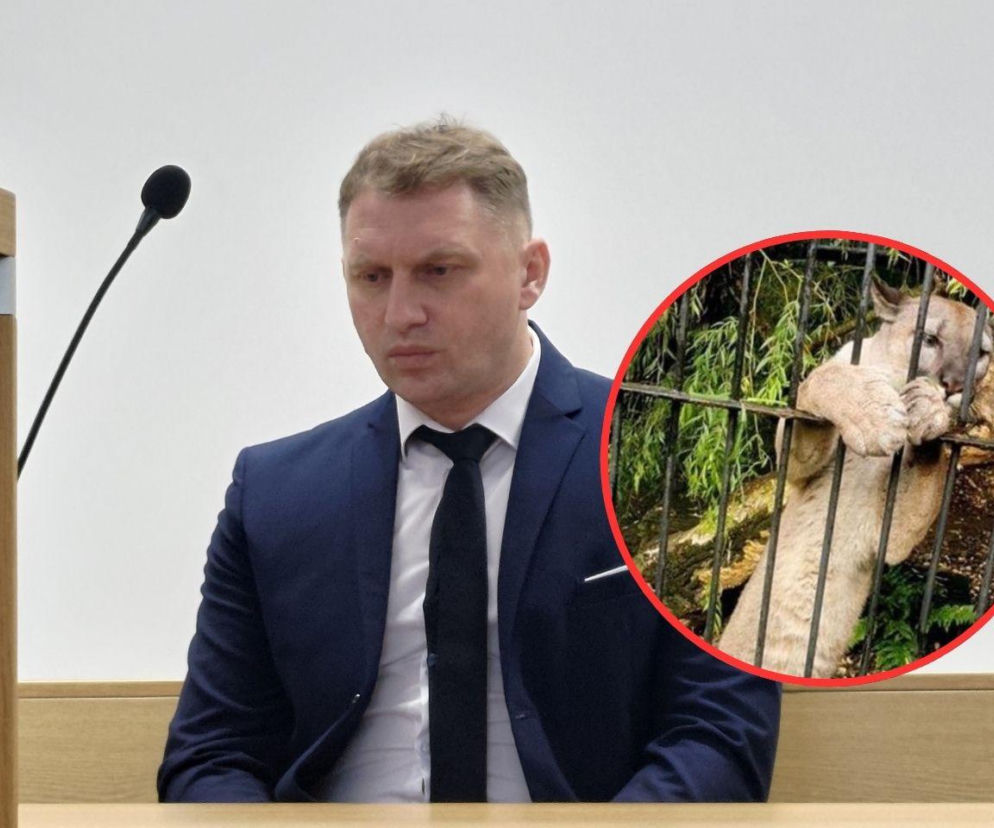 Kamil Stanek prawomocnie skazany w sprawie pumy Nubii. To koniec ich ...