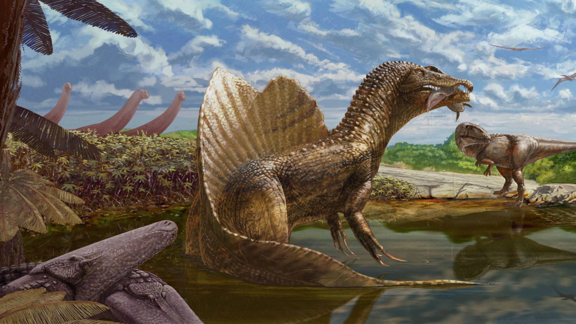 Rare spinosaurid fossil reveals 25-foot fish-eating dinosaur in Thailand