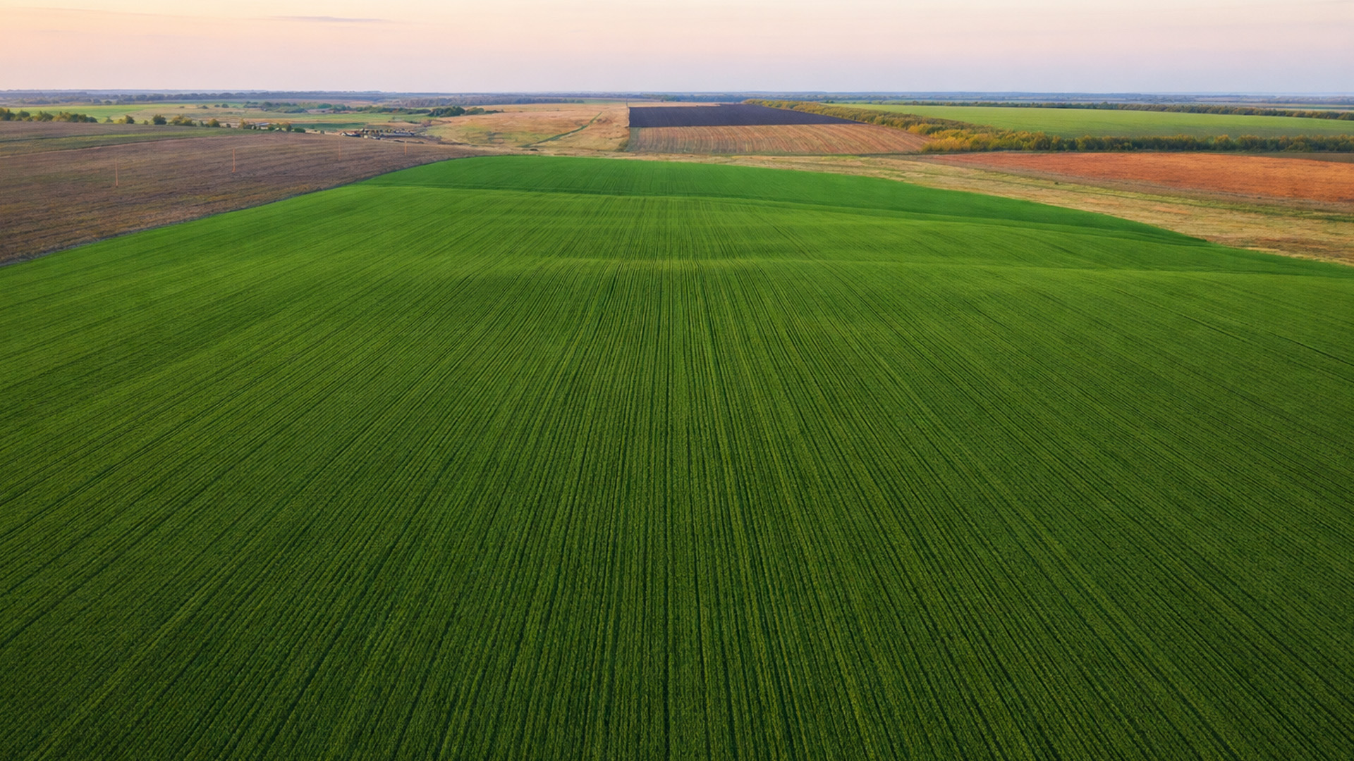 Ukraine’s endless green fields