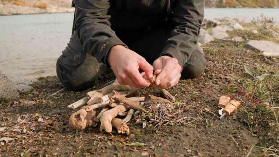 How to cook an octopus when all you have is snow