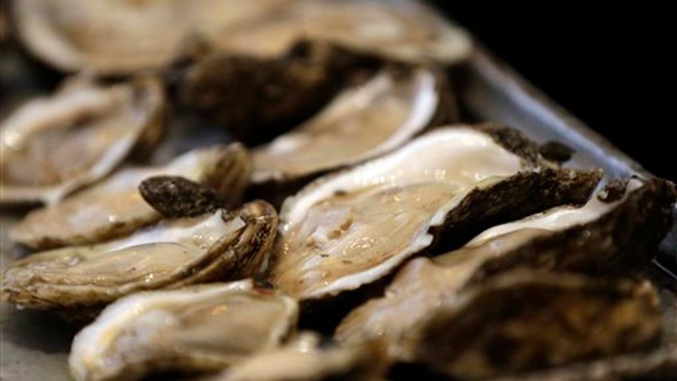 Salmonella outbreak linked to raw oysters sickens over 60 across 22 states