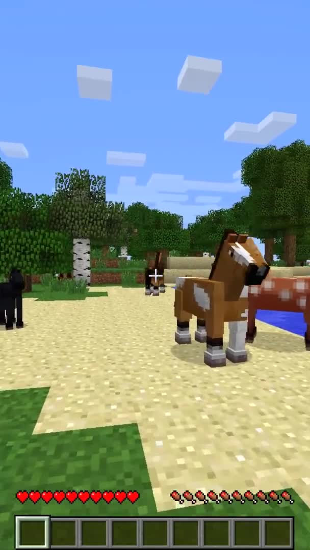 ESTE ES EL ITEM MÁS RARO DE TODO Minecraft