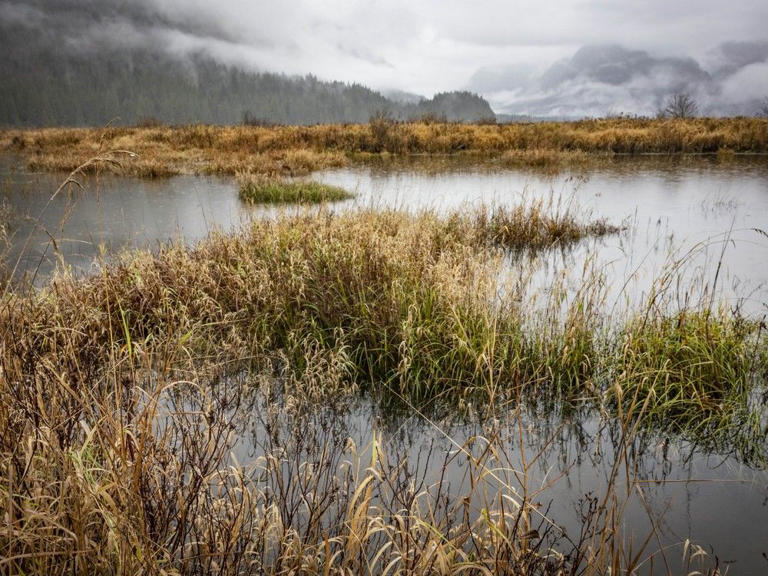 Metro Vancouver's newest park will change the way you see our region