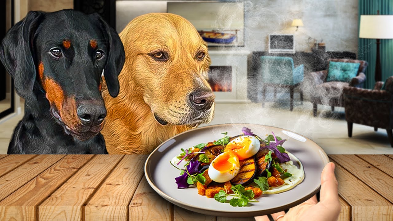 Dog reviews different foods with Doberman puppy