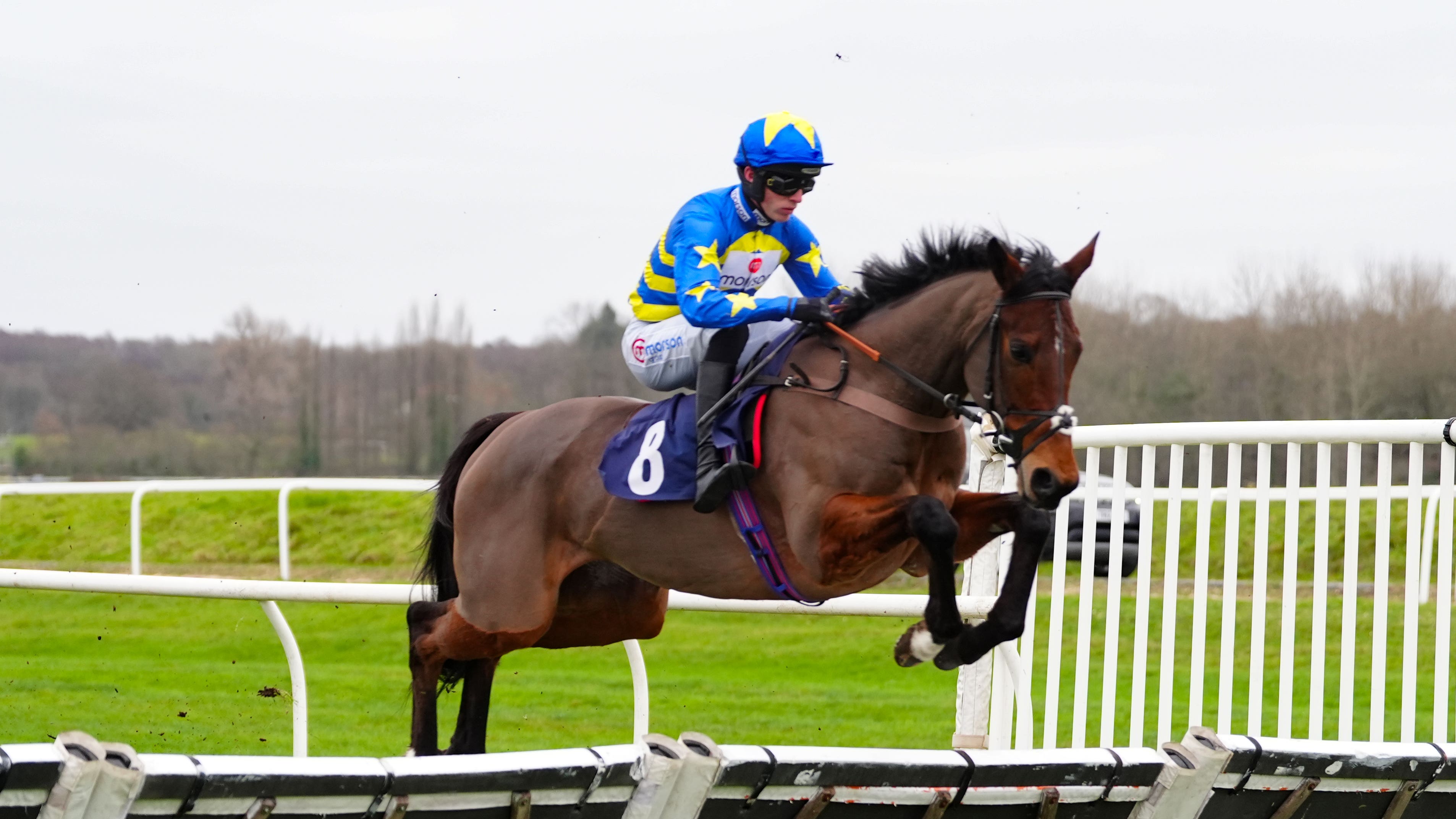 Minella Yoga bursts into Triumph Hurdle picture